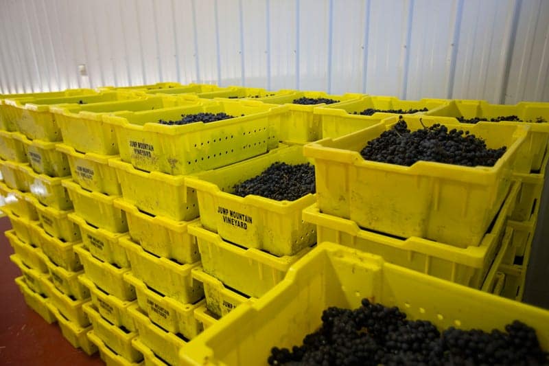 USDA listens to importers, pulls California desert grape proposal ...