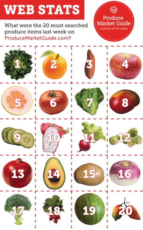 Lettuce takes over on Produce Market Guide - Summa Plastics